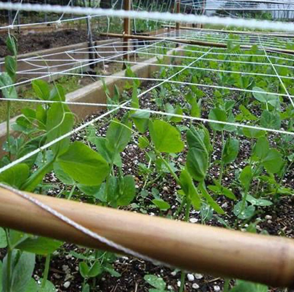 Bamboo, Trellis Netting, & Plant Support – The Growers Depot