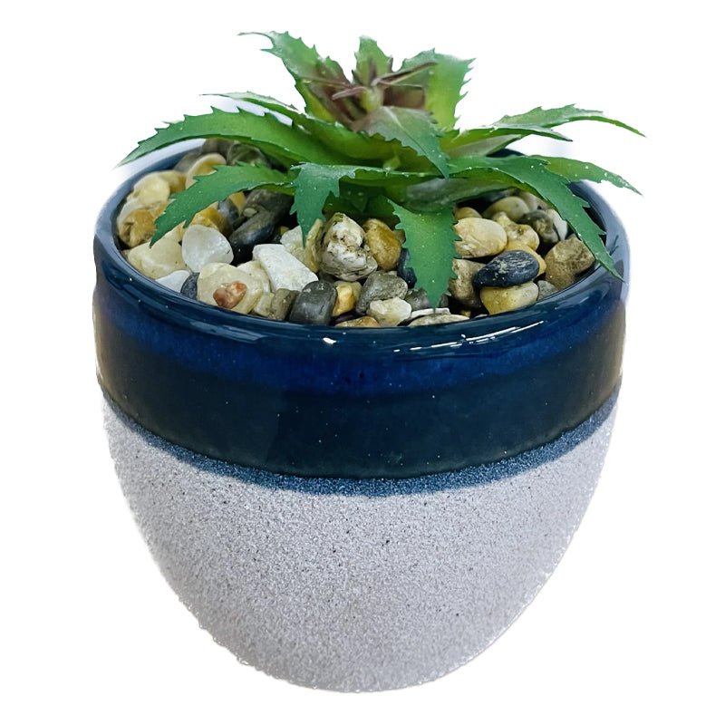 2 Tone Jar Succulent Decor – The Growers Depot